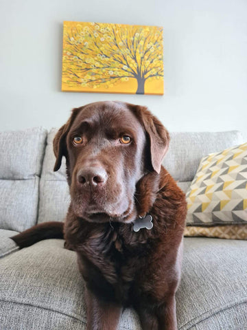 Louise Mead - Canvas pictures, paintings, prints, cushions, wall art